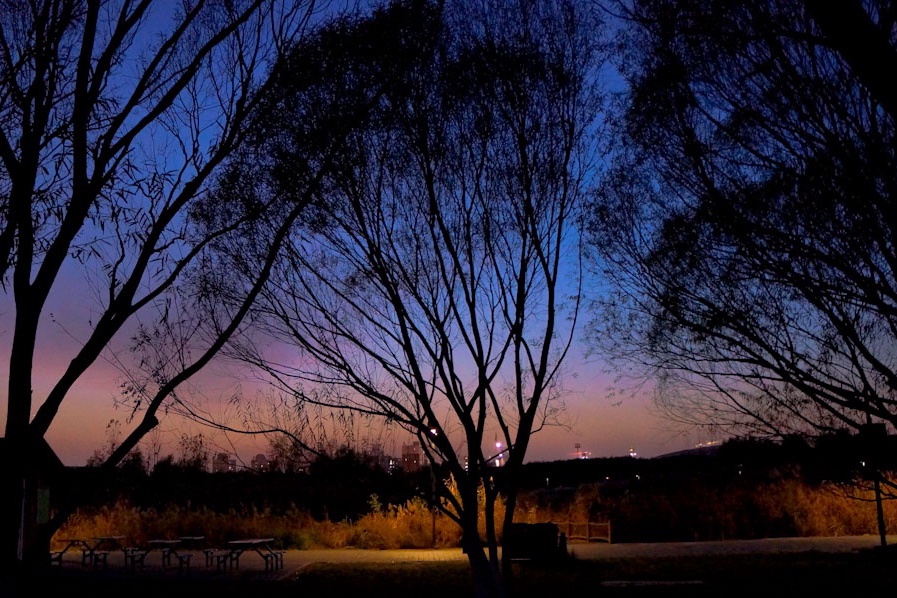 Amazing Olympic Forest Park in Beijing