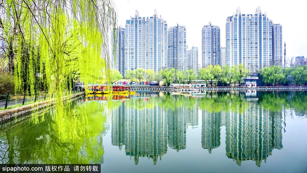 Halo Park Staged in Chaoyang Park