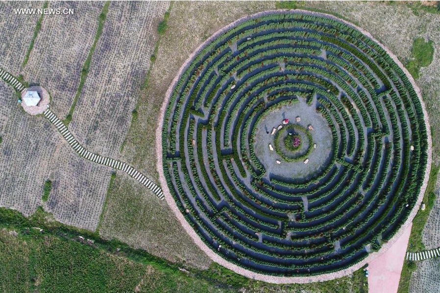 Tourists walk in maze at farm in N China's city