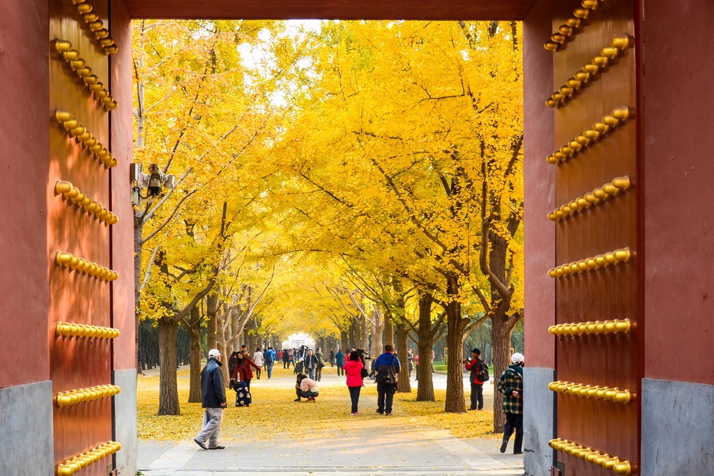 Ditan Park Sends You an Autumn Gift