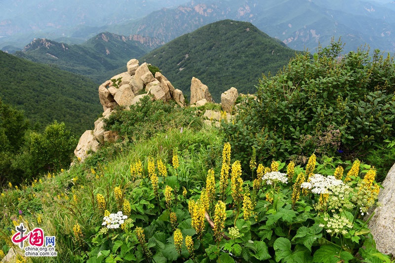 Wuling Mountain in summer