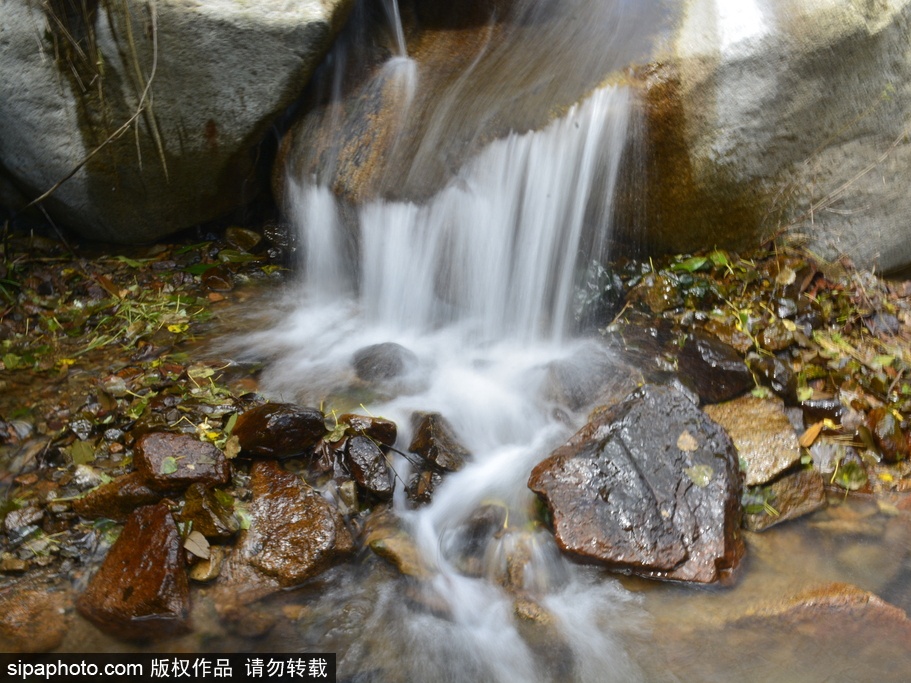 Longtan Scenic Spot