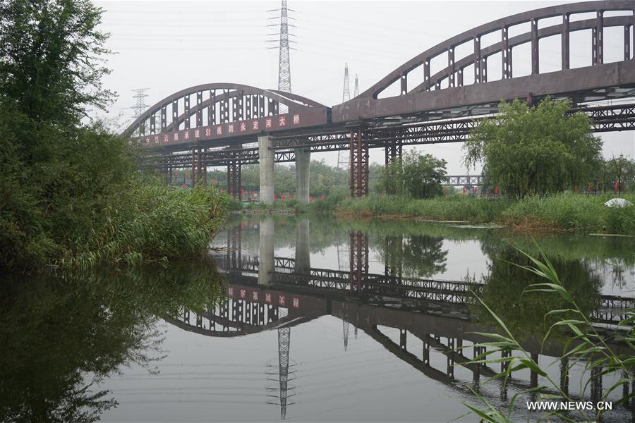 Beijing's 1st medium-low speed maglev Line S1 to be open in 2017