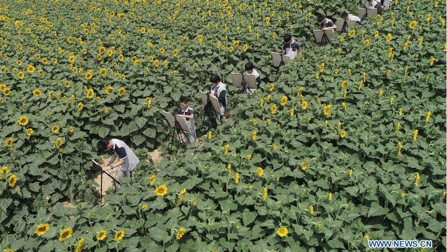 Nangong of China's Hebei integrates tourism with agricultural industries
