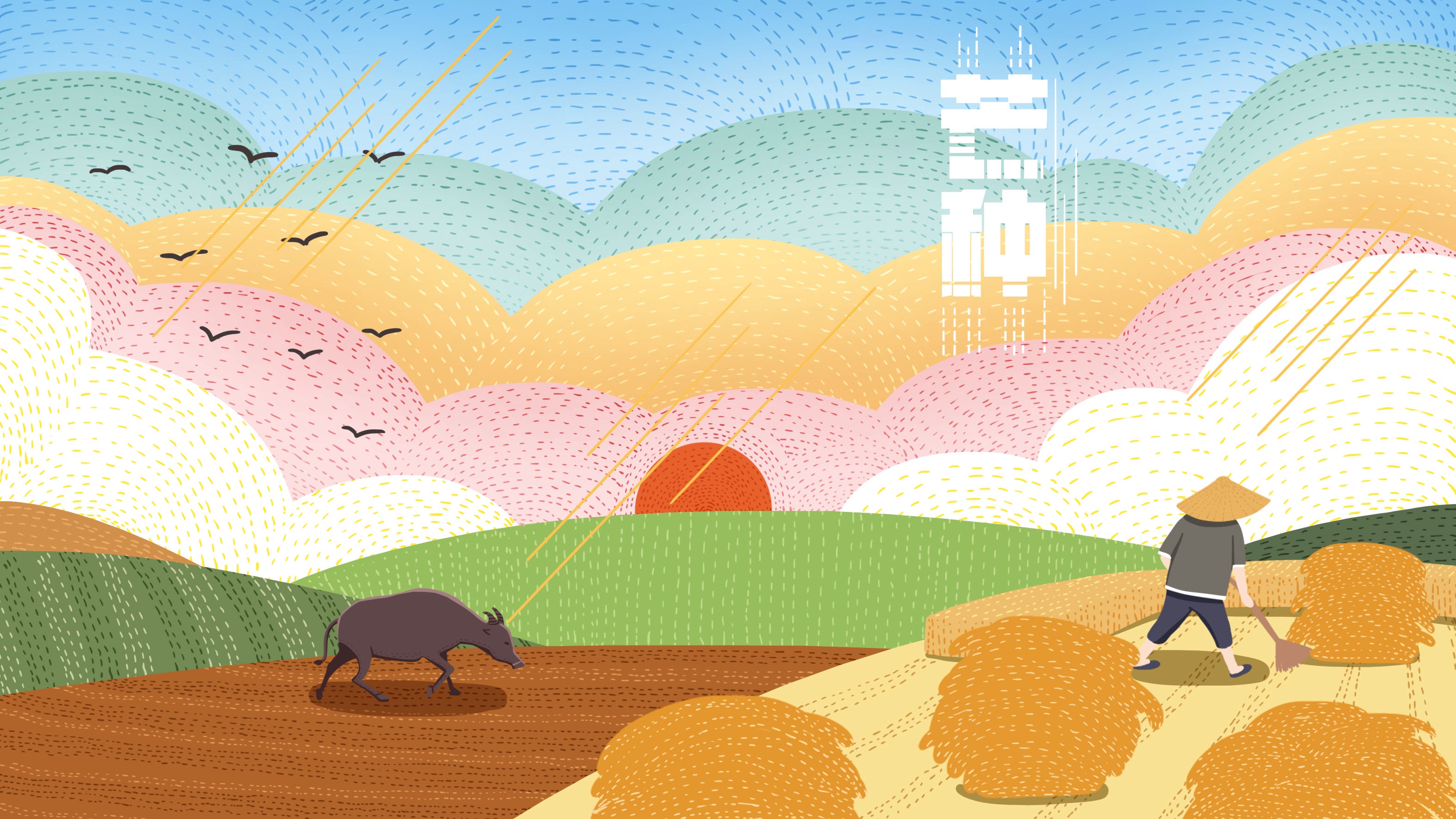 Things need to know about Grain in Ear