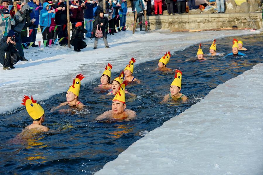 Winter swimmers celebrate Year of the Rooster