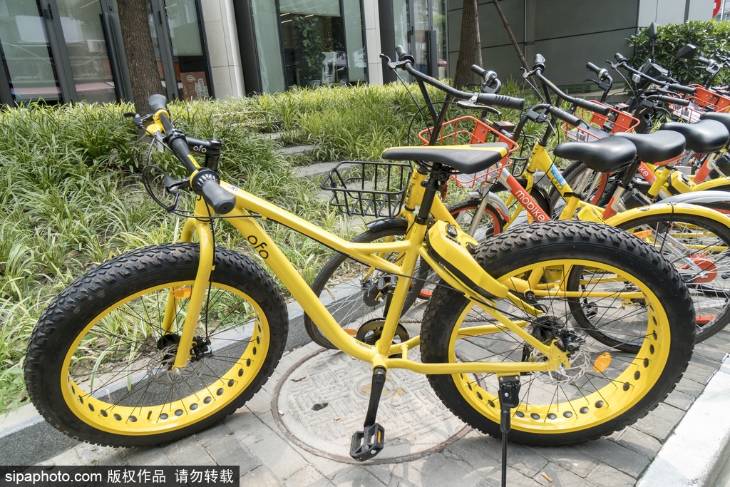 Beijing Bikes