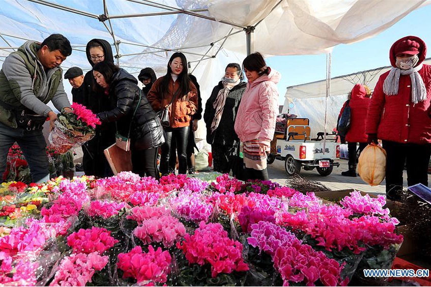 Goods for Spring Festival in N China's Tianjin