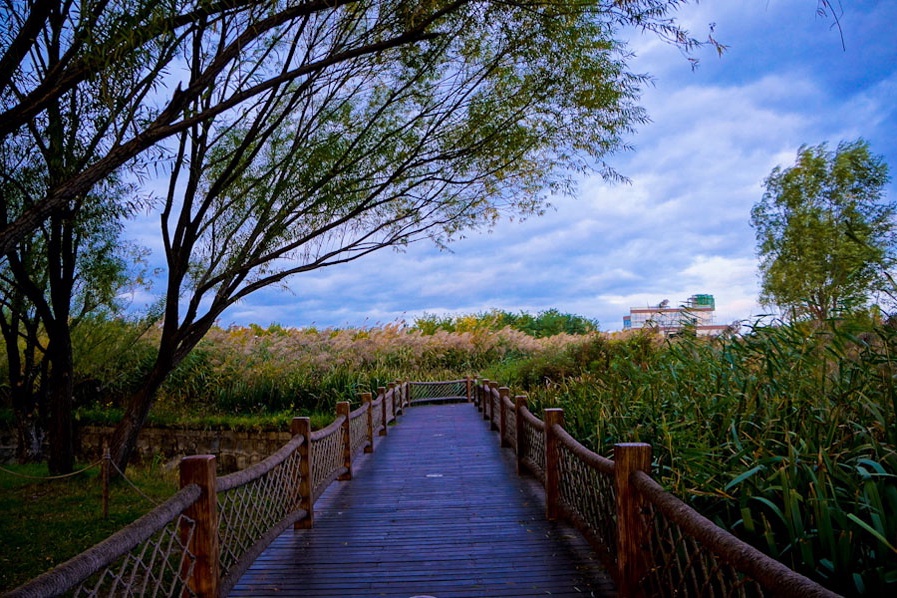 Amazing Olympic Forest Park in Beijing