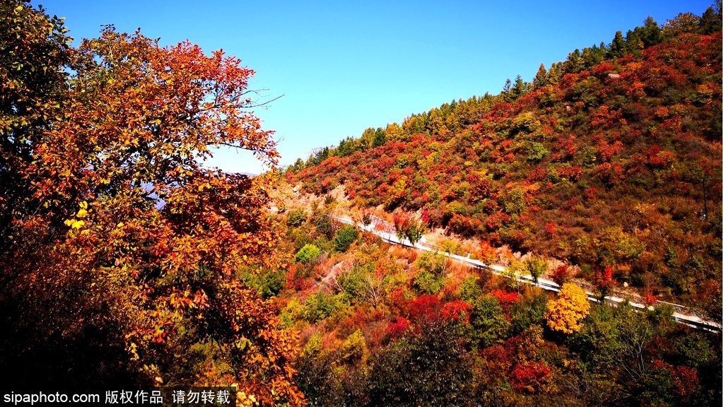 Autumn in Baihua Mountain