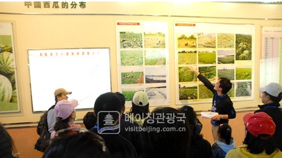 China Watermelon Museum