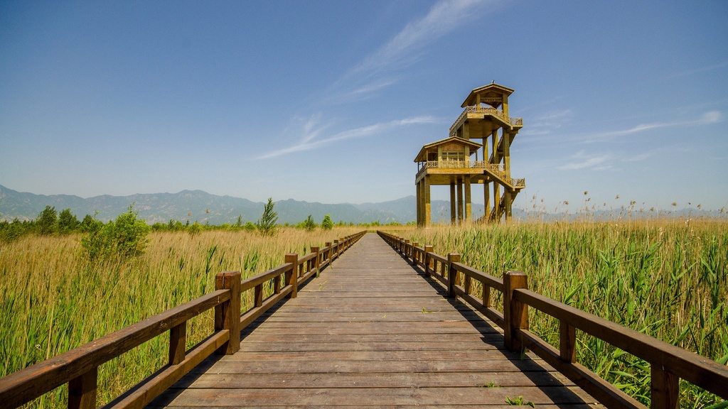 Wild Duck Lake National Wetland Park