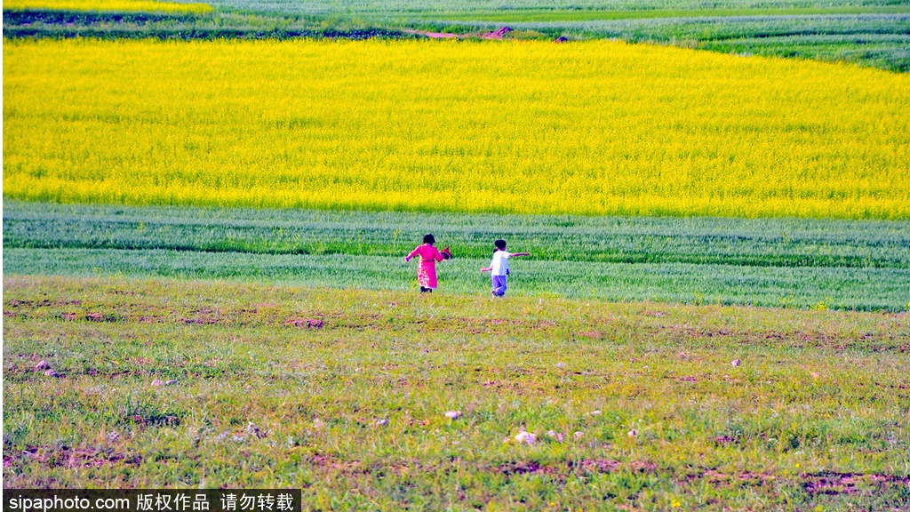 Bashang Grassland of Fengning