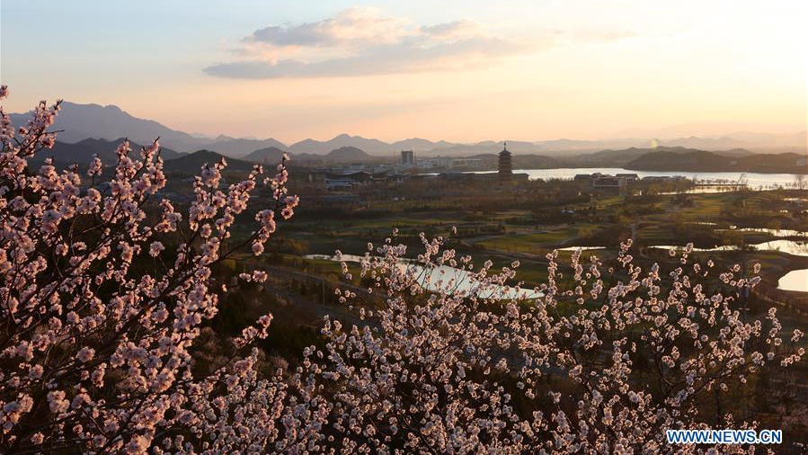 Spring scenery of Yanqi Lake in Beijing