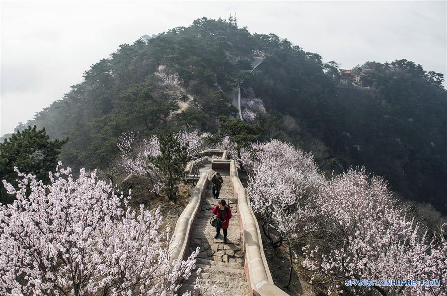 Vista de flores en el área escénica de Panshan en Tianjin